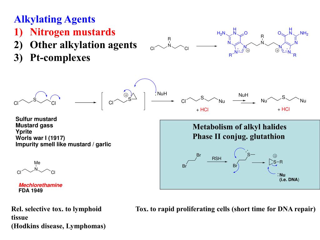 PPT - Anti-cancer compounds / Antineoplastic Agents, chapter 38 ...