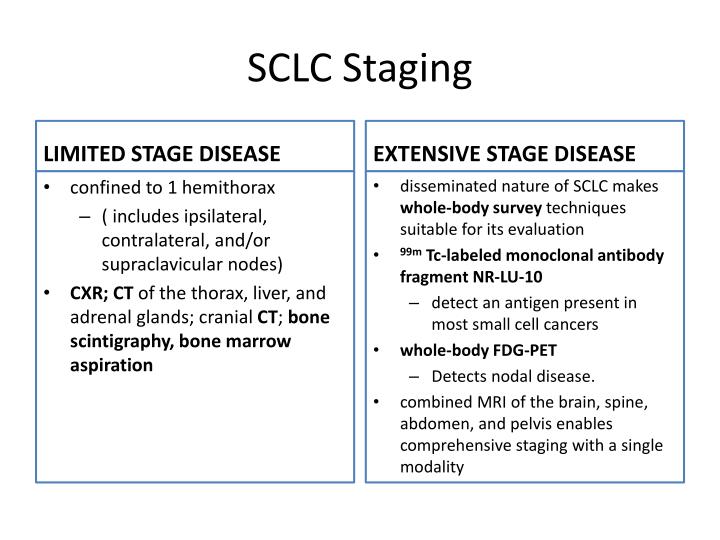 PPT - Staging OF BRONCHOGENIC CA PowerPoint Presentation - ID:2685047