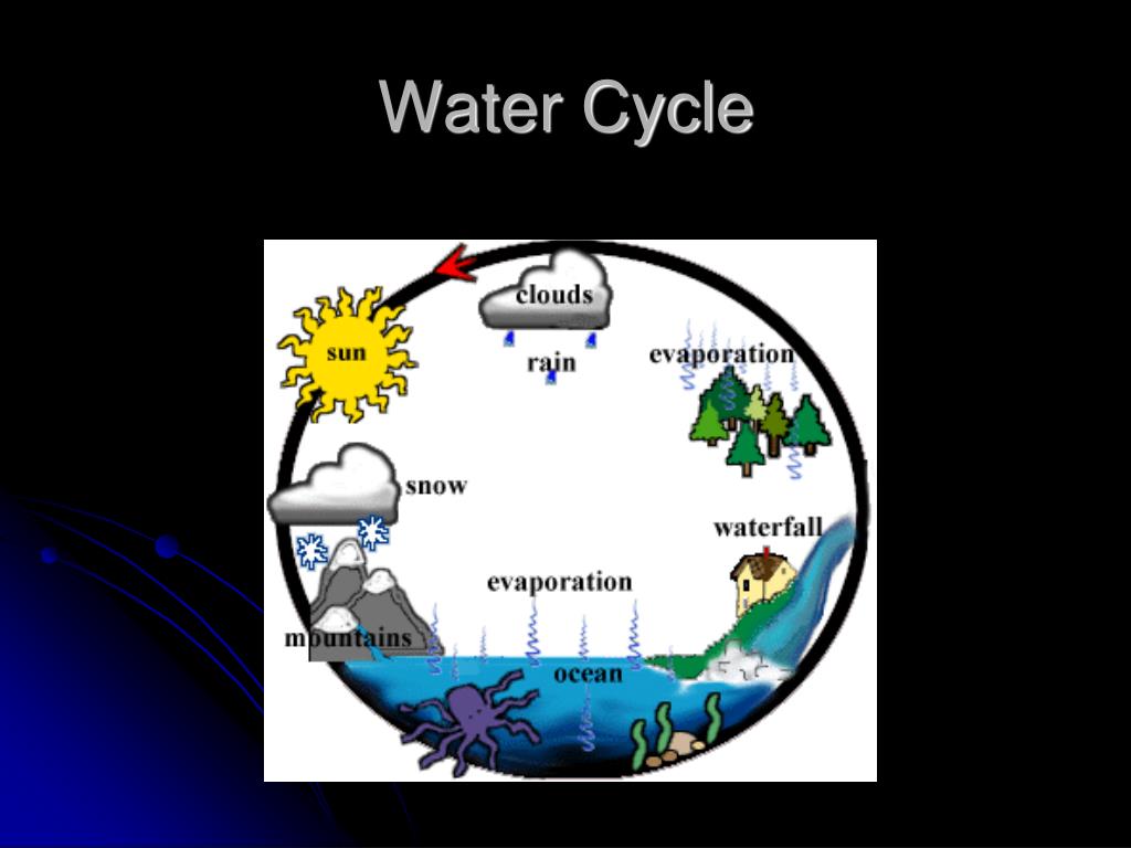PPT - 4 th Grade Weather and Water Cycle Vocabulary PowerPoint ...