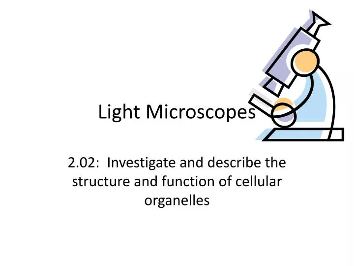 PPT - Light Microscopes PowerPoint Presentation, free download - ID:2685527