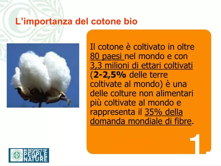 PPT - L’importanza del cotone bio PowerPoint Presentation, free download - ID:2685981