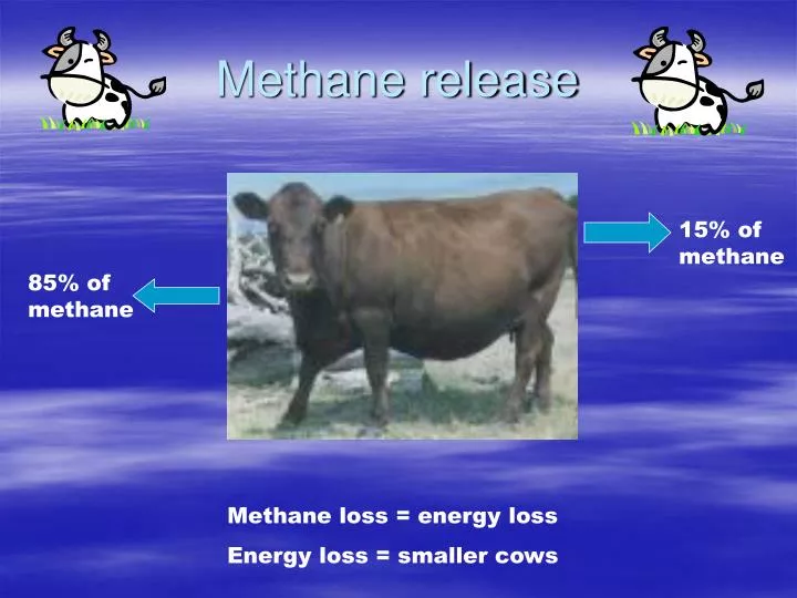 PPT - Methane release PowerPoint Presentation, free download - ID:2686111