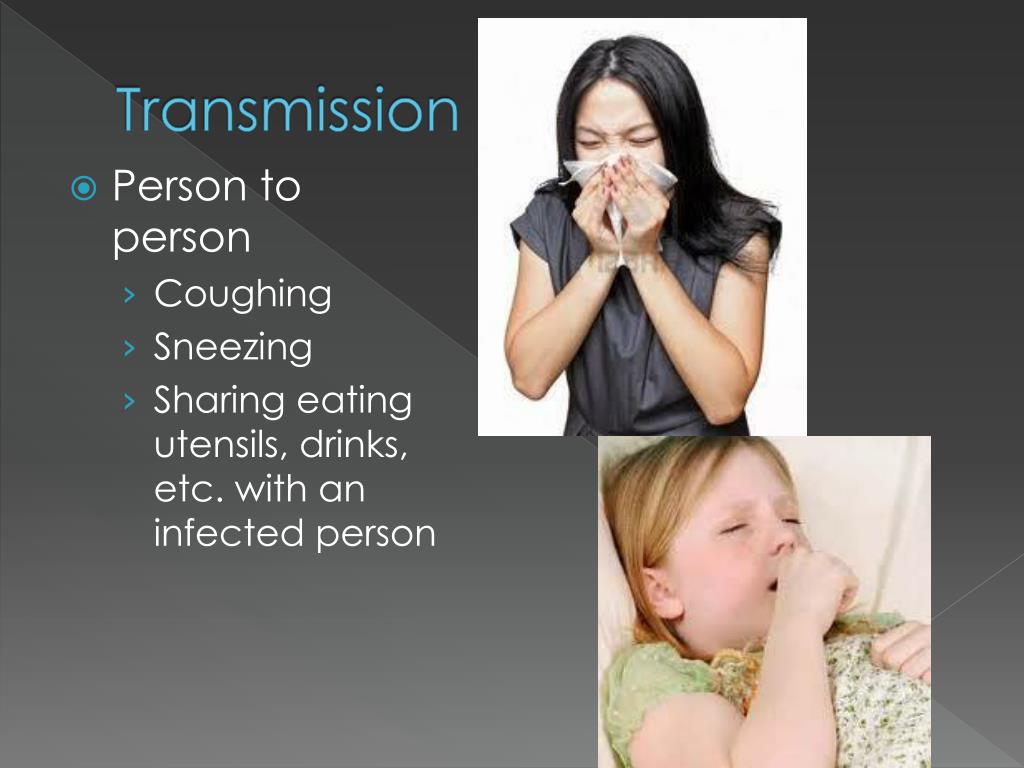 PPT - Understanding Meningitis: Types, Symptoms, and Prevention ...