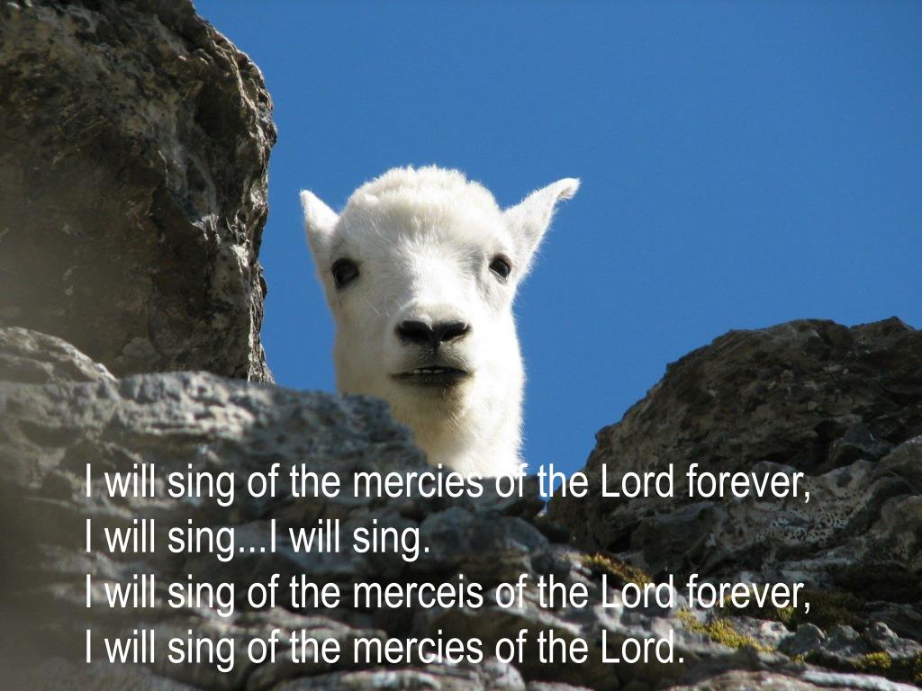 PPT - I will sing of the mercies of the Lord forever , I will sing...I ...