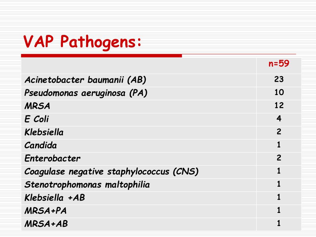 PPT - Gül Gürsel, Müge Aydoğdu, Türkan Nadir Öziş, Seçil Taşyürek ...