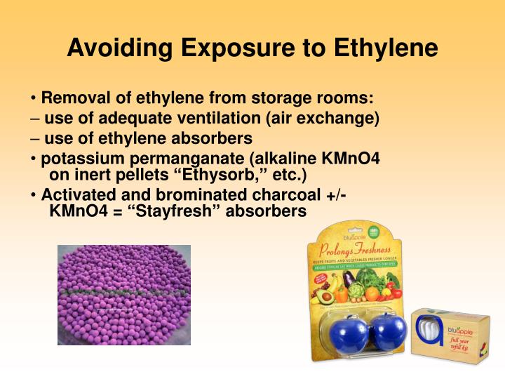 PPT - Ethylene and fruit ripening PowerPoint Presentation - ID:2686663