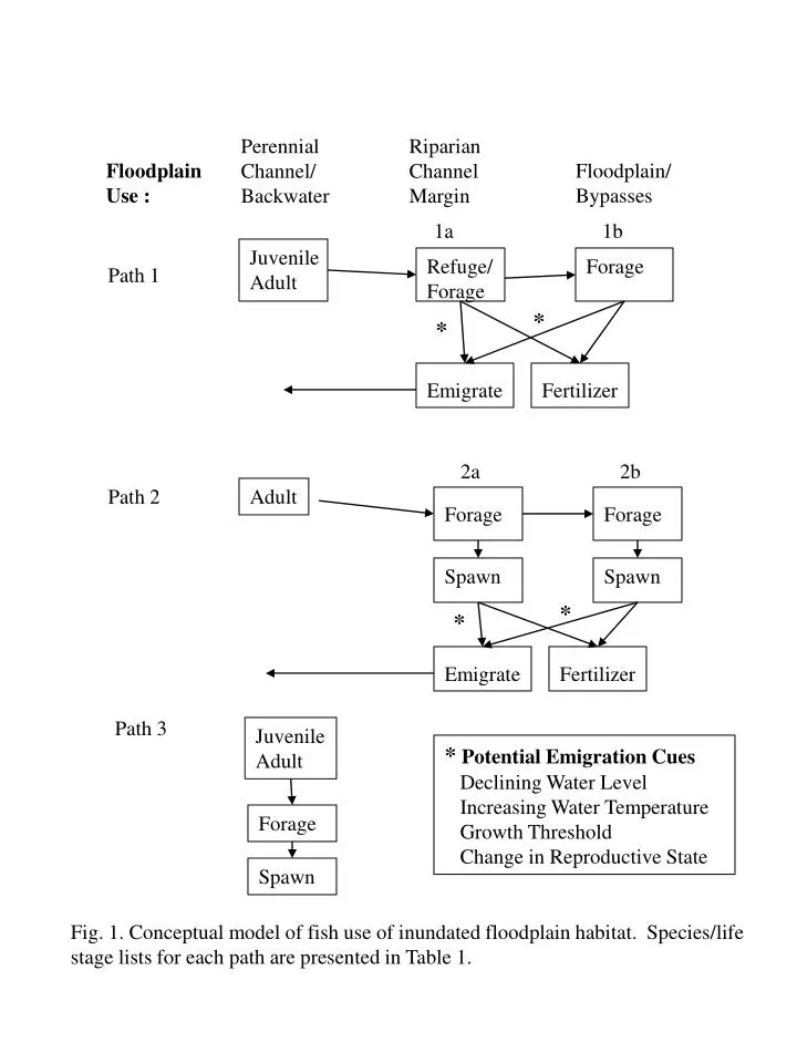 PPT - Forage PowerPoint Presentation, free download - ID:2686676