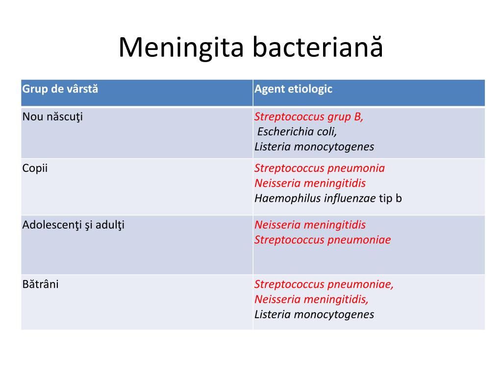 PPT - Infec ţii ale sistemului nervos central Meningita PowerPoint ...