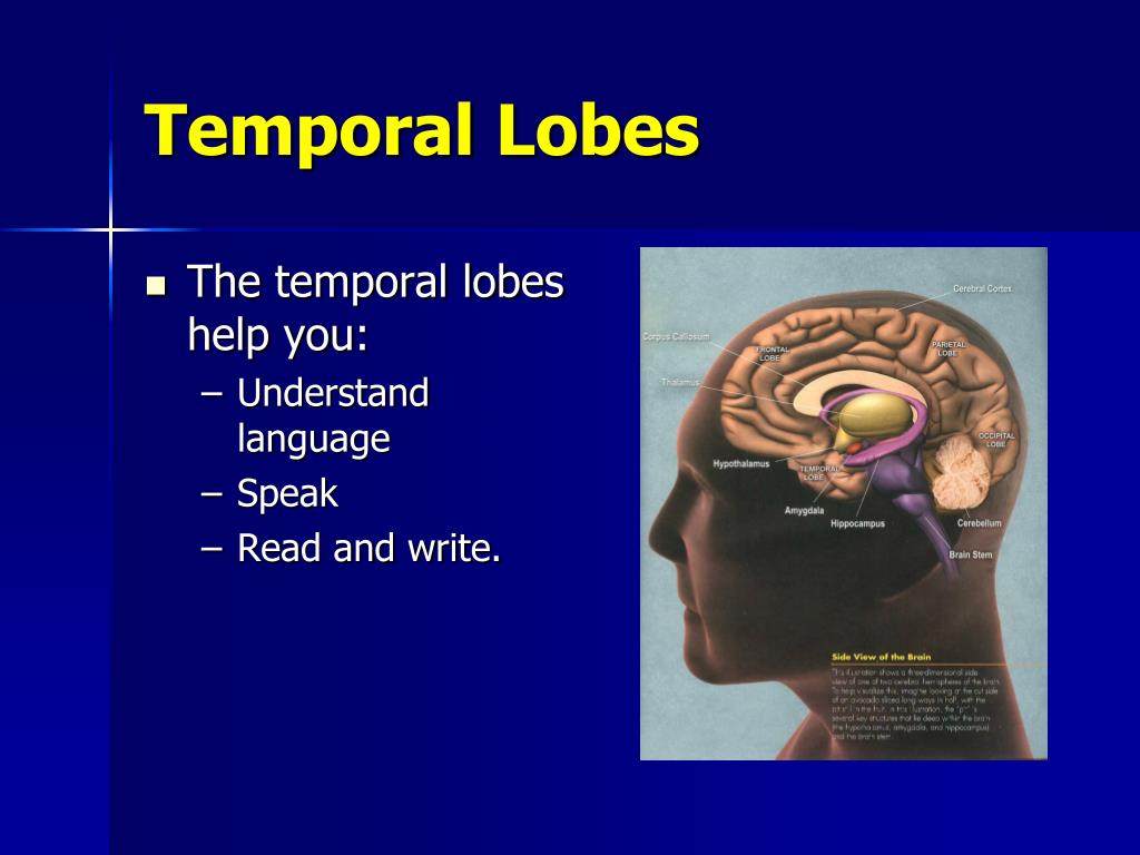 PPT - Alzheimer’s Disease and Dementia Care for Health Plan Case ...