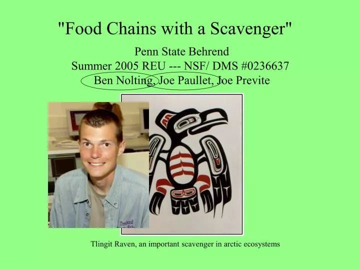 PPT - "Food Chains with a Scavenger" PowerPoint Presentation - ID:2687393