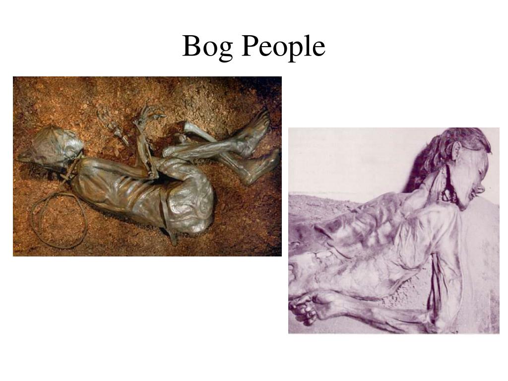 PPT - Plant Diversity I How Plants Colonized Land PowerPoint ...