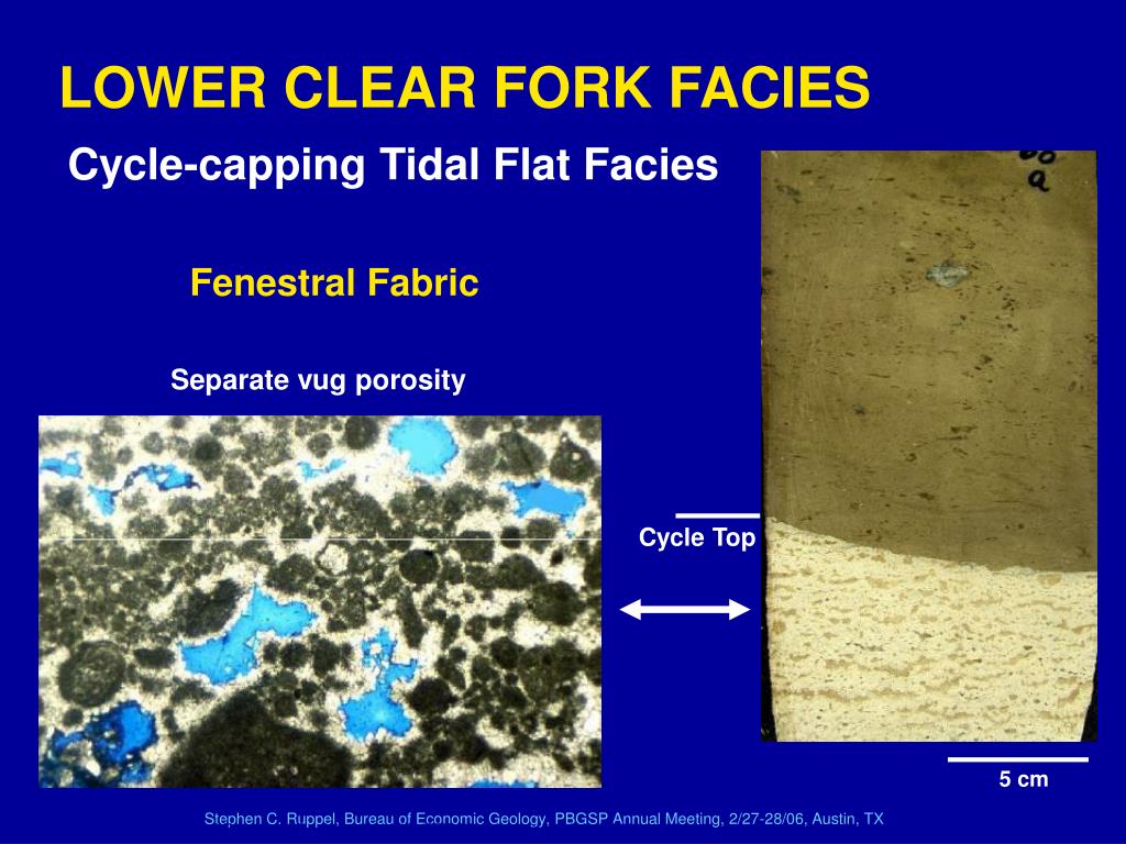 PPT - Stephen C. Ruppel Bureau of Economic Geology The Jackson School ...