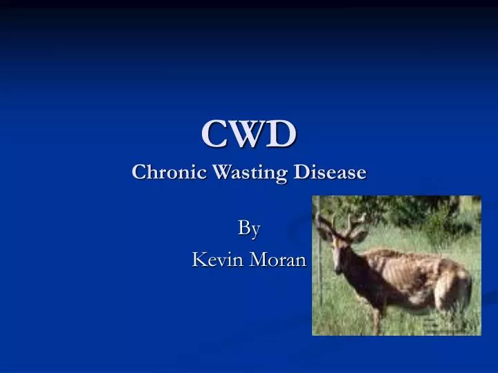 PPT - CWD Chronic Wasting Disease PowerPoint Presentation, free ...