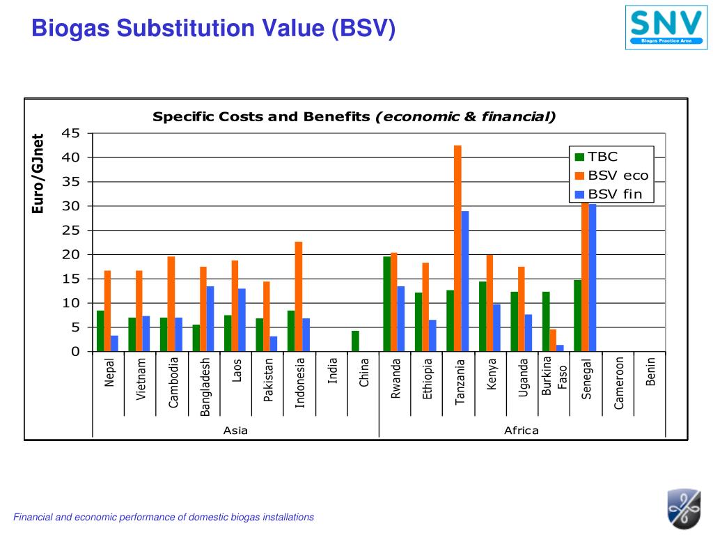PPT - Financial and economic performance of domestic biogas ...
