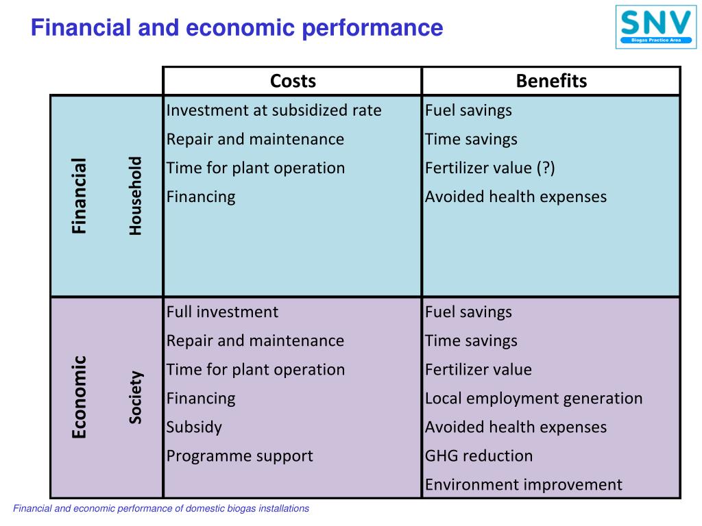PPT - Financial and economic performance of domestic biogas ...