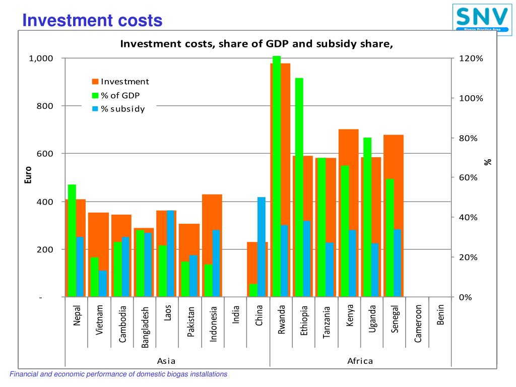PPT - Financial and economic performance of domestic biogas ...