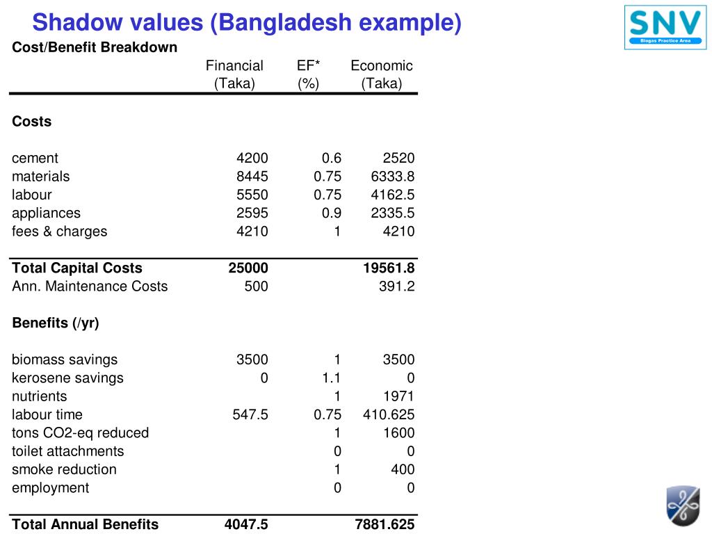 PPT - Financial and economic performance of domestic biogas ...