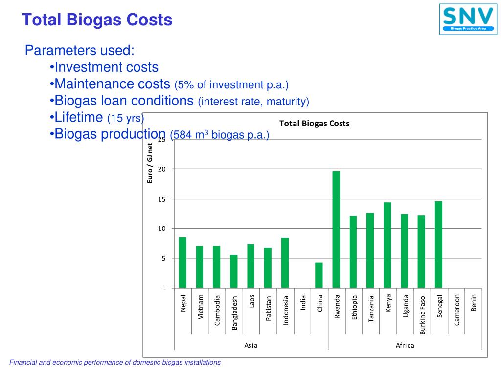 PPT - Financial and economic performance of domestic biogas ...