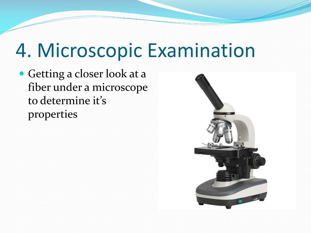 PPT - Do Now: Would hair be classified as individual evidence or class ...