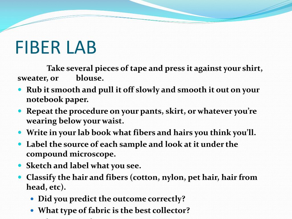 PPT - Do Now: Would hair be classified as individual evidence or class ...