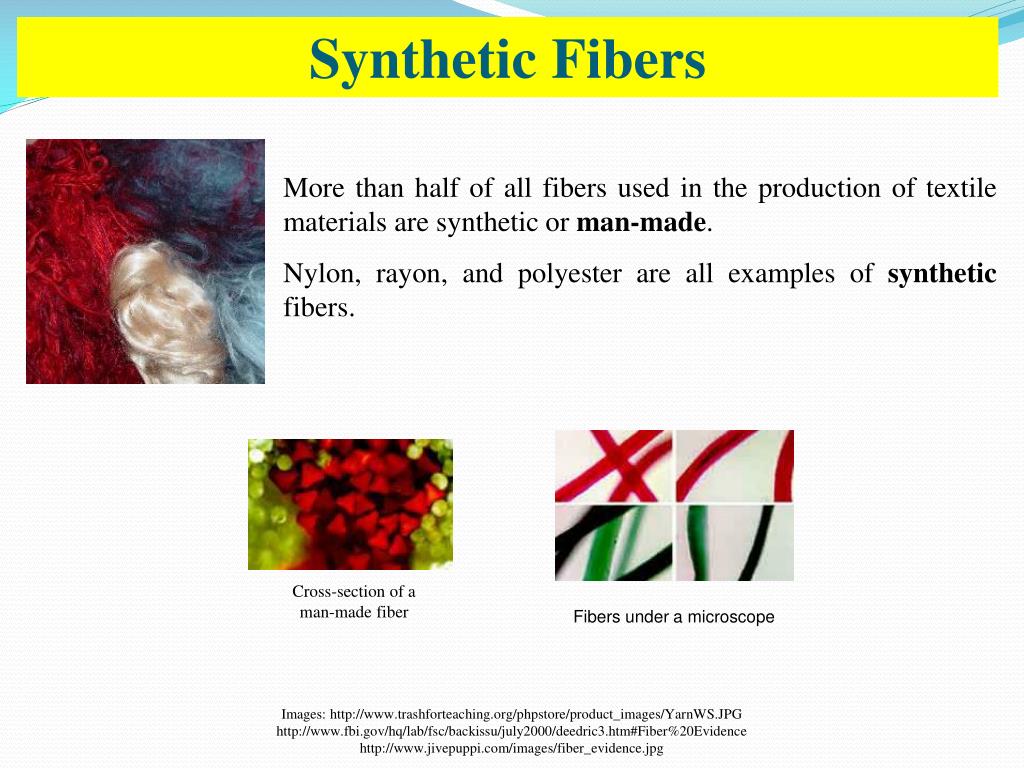 PPT - Do Now: Would hair be classified as individual evidence or class ...