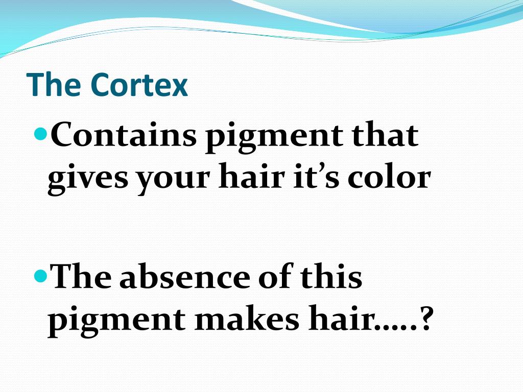 PPT - Do Now: Would hair be classified as individual evidence or class ...
