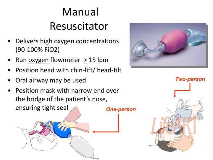 PPT - Respiratory (A&P, ABG’s, Assessment) Respiratory case studies ...