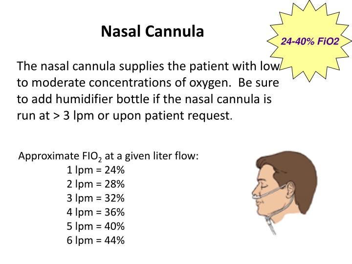 PPT - Respiratory (A&P, ABG’s, Assessment) Respiratory case studies ...