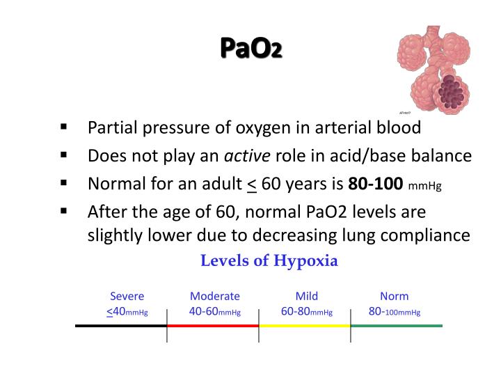 PPT - Respiratory (A&P, ABG’s, Assessment) Respiratory case studies ...