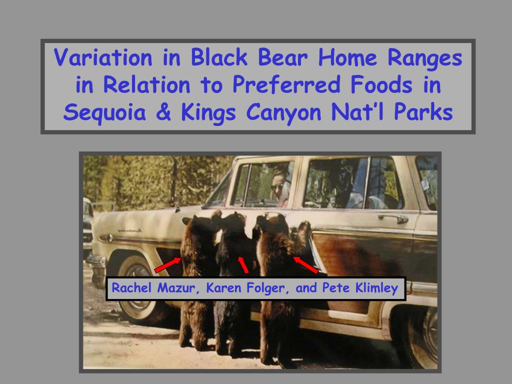 PPT - Rachel Mazur, Karen Folger, and Pete Klimley PowerPoint ...