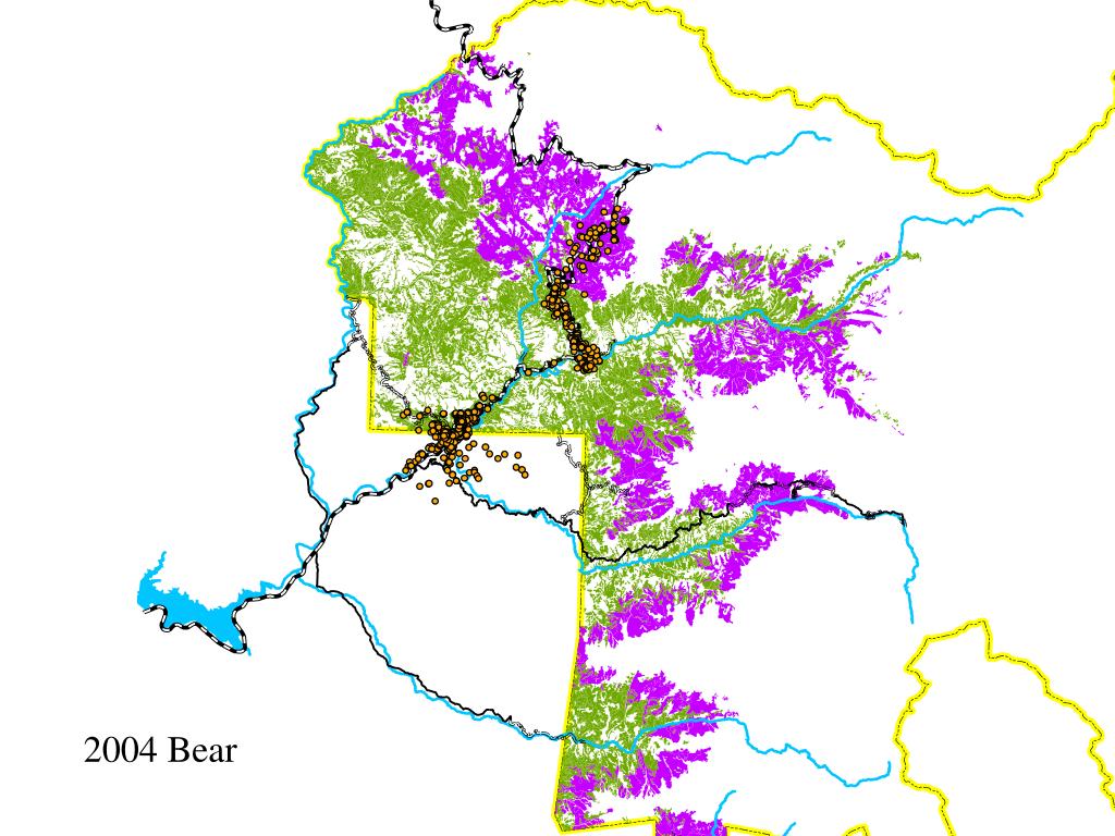 PPT - Rachel Mazur, Karen Folger, and Pete Klimley PowerPoint ...