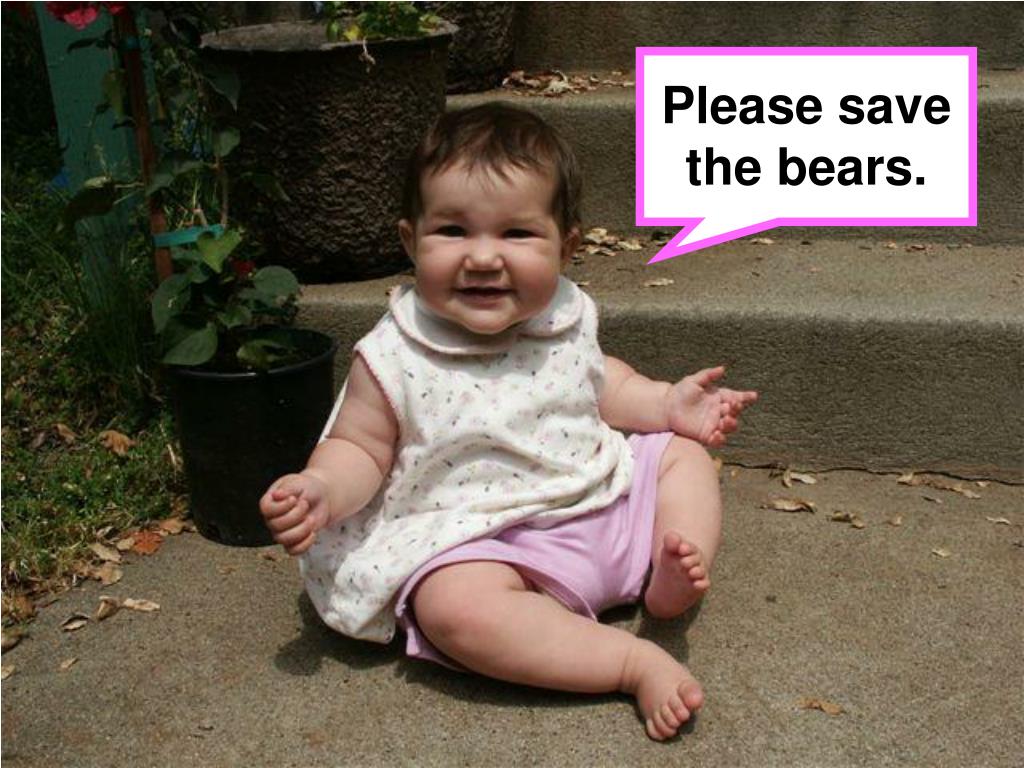 PPT - Rachel Mazur, Karen Folger, and Pete Klimley PowerPoint ...