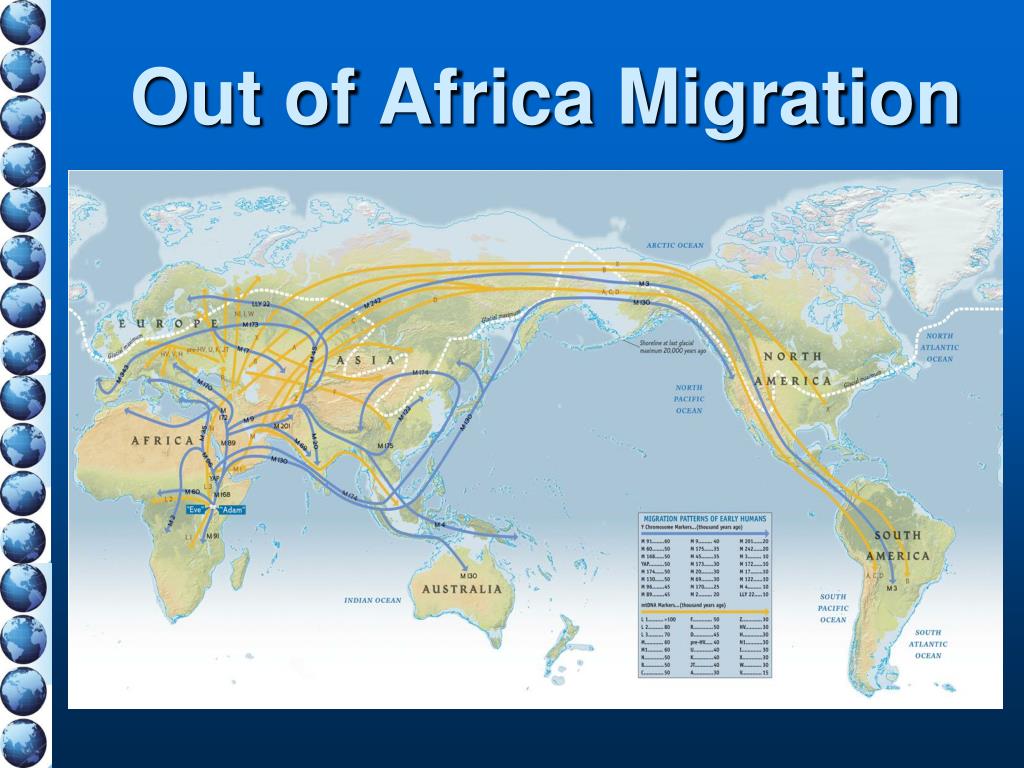 Human Migration From Africa Map Map Of Africa - vrogue.co Human Migration From Africa Map Map Of Africa - vrogue.co