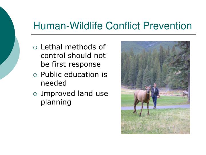 PPT - Wildlife and Human Conflict PowerPoint Presentation - ID:2690531