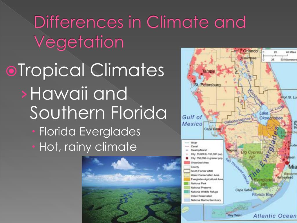 PPT - Physical Geography of the United States and Canada PowerPoint ...