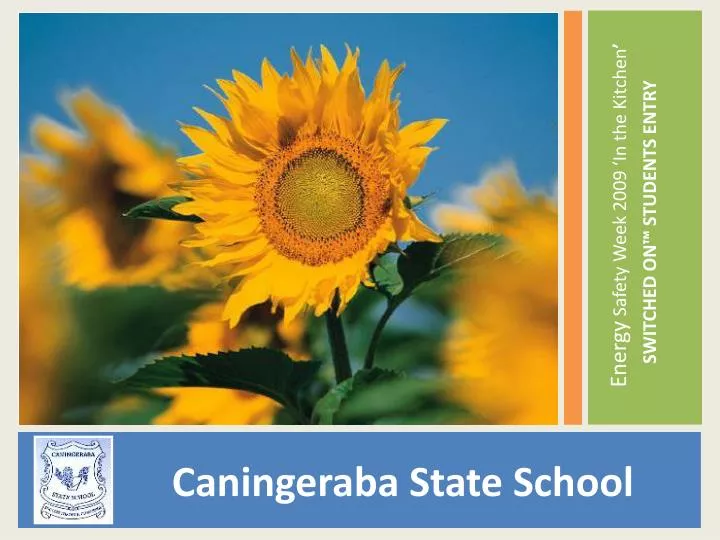 PPT - Caningeraba State School PowerPoint Presentation, free download ...