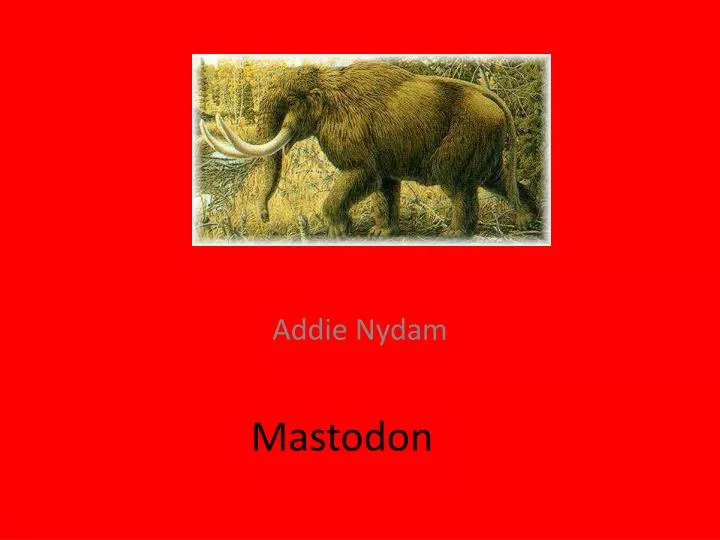 PPT - Mastodon PowerPoint Presentation, free download - ID:2690667
