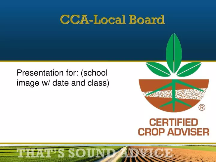 PPT - CCA-Local Board PowerPoint Presentation, free download - ID:2691022