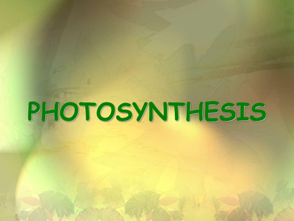 PPT - All About Photosynthesis: A Guide to Plant Energy Production ...