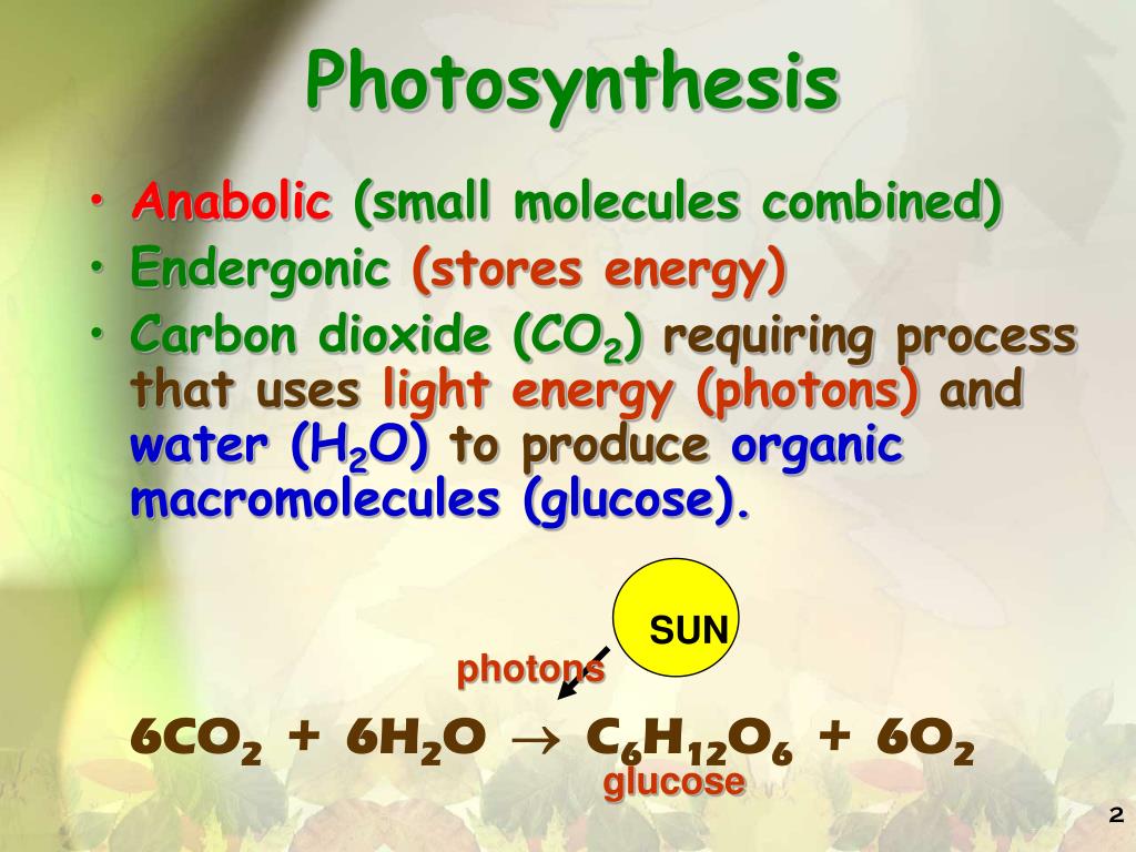 PPT - All About Photosynthesis: A Guide to Plant Energy Production ...