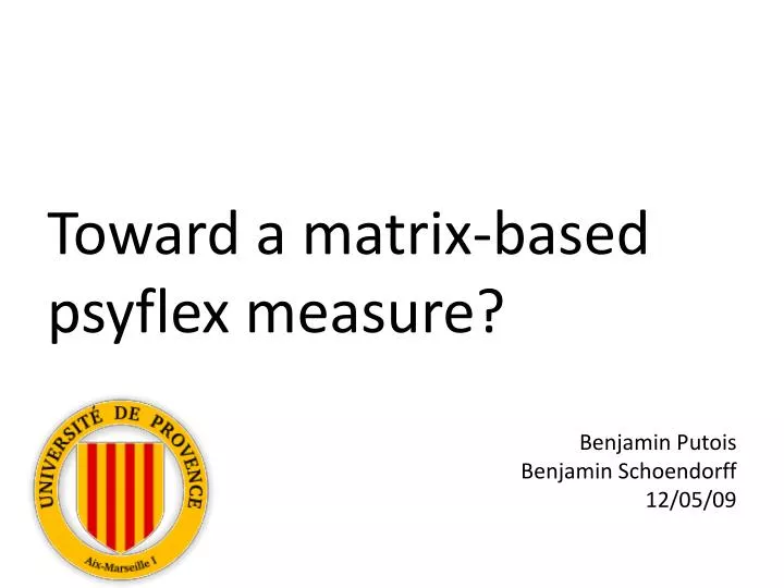 PPT - Toward a matrix-based psyflex measure ? PowerPoint Presentation, free download - ID:2691813