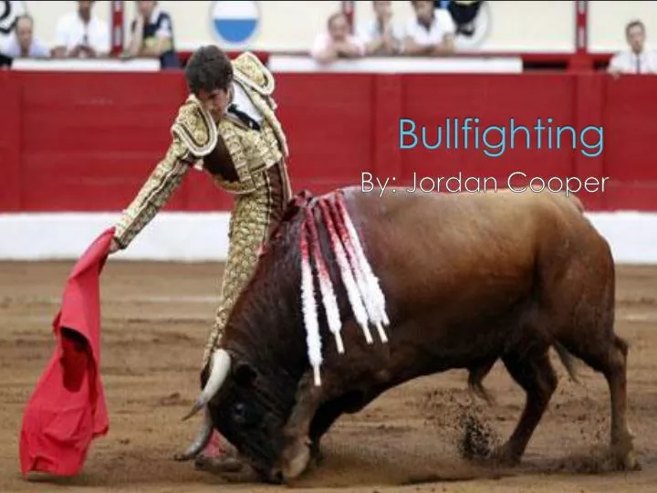 PPT - Bullfighting PowerPoint Presentation, free download - ID:2691843