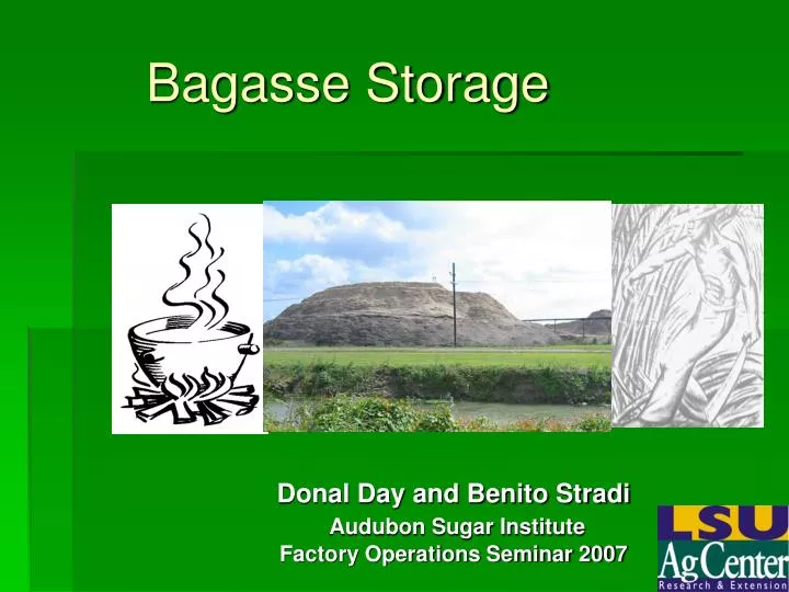 PPT - Bagasse Storage PowerPoint Presentation, free download - ID:2691894