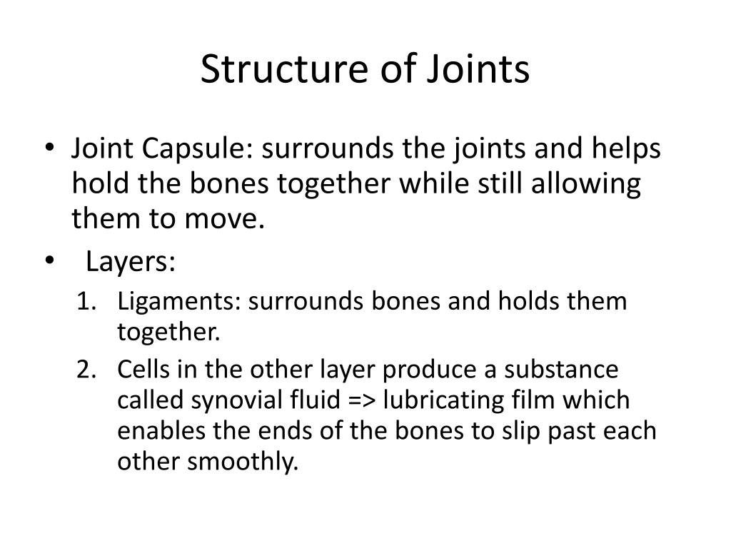 PPT - The Skeletal System PowerPoint Presentation, free download - ID ...
