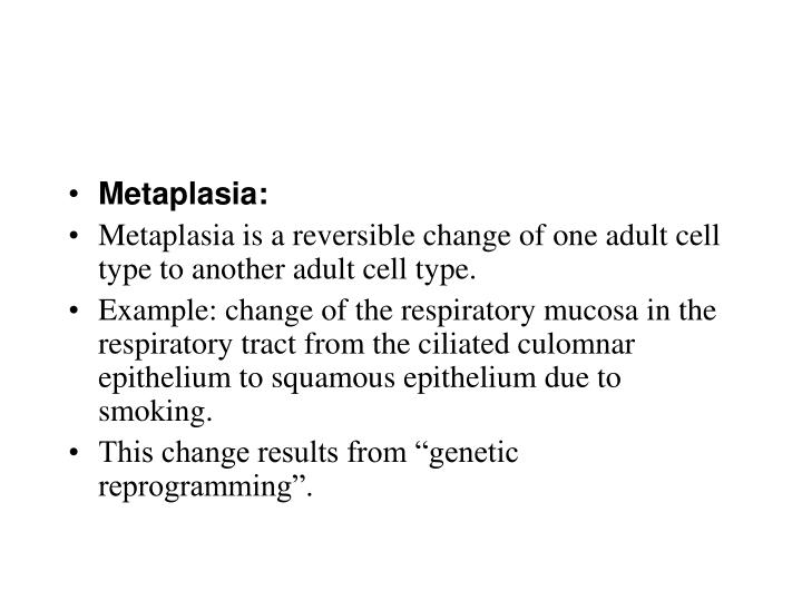 PPT - Cellular and Tissue Adaptation PowerPoint Presentation - ID:2693269