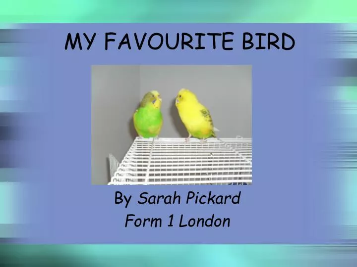 PPT - MY FAVOURITE BIRD PowerPoint Presentation, free download - ID:2693632