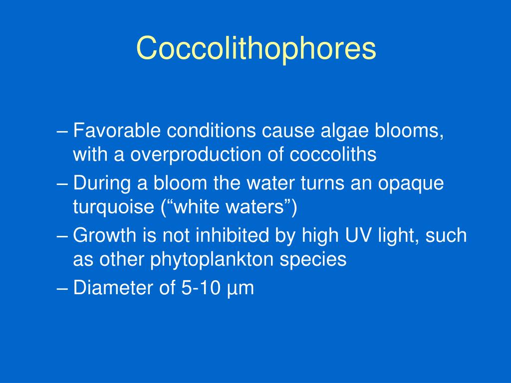 PPT - Introduction: coccolithophores Effects on oceanic chemistry ...