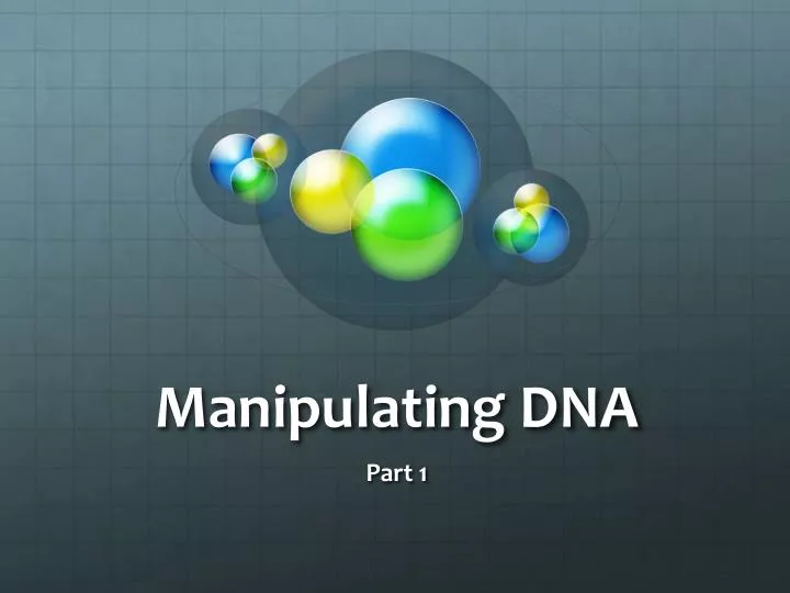 PPT - Manipulating DNA PowerPoint Presentation, free download - ID:2694127