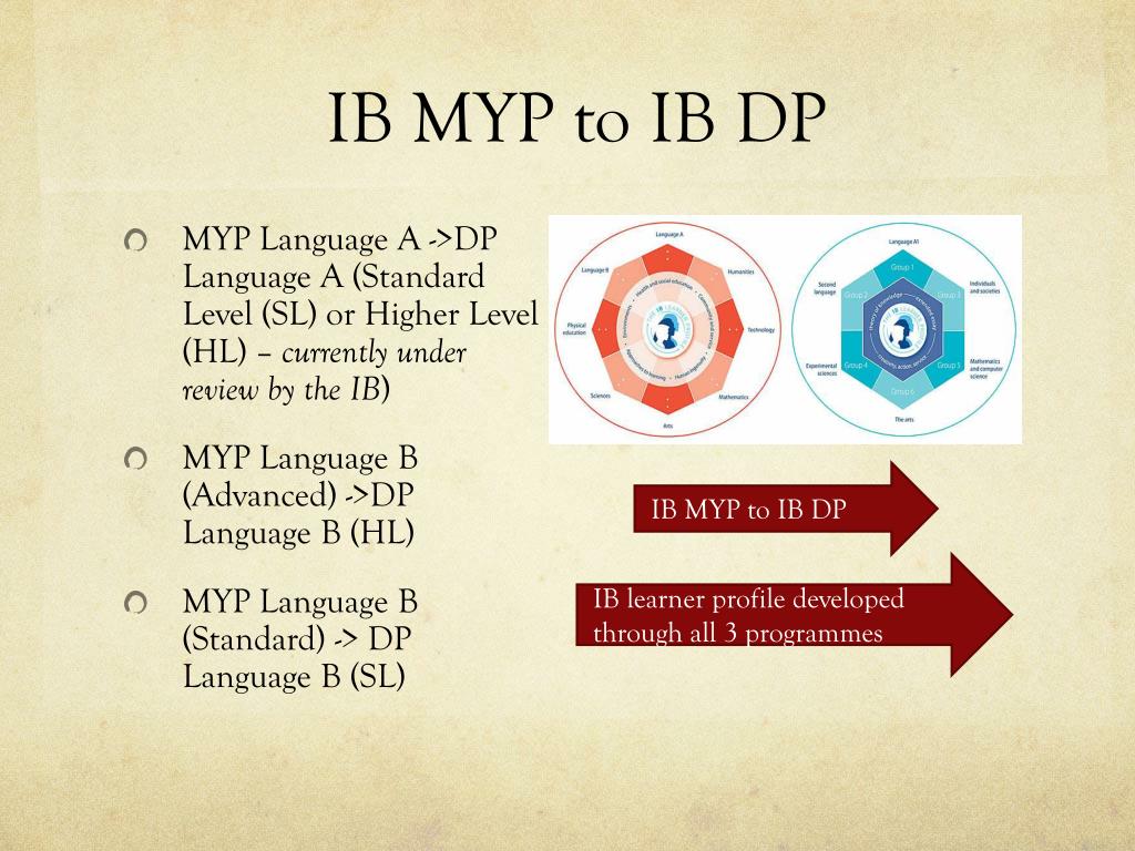 PPT - Year 5 and 6 Mandarin Parents’ Information Night PowerPoint ...