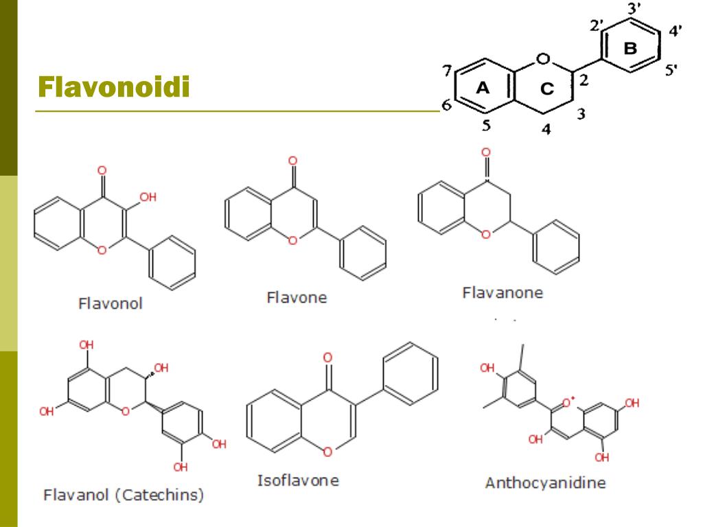 PPT - 1. BIOLOŠKI AKTIVNE KOMPONENTE NAMIRNICA U PROMOCIJI ZDRAVLJA 2 ...